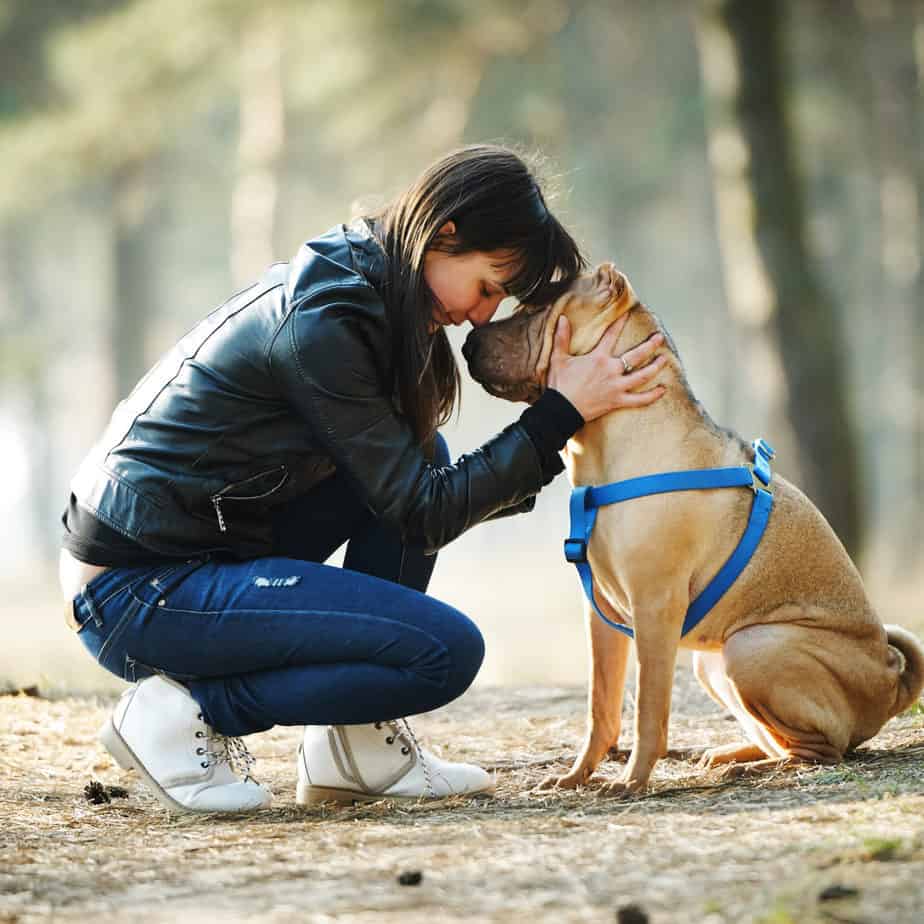 Celebrate dog moms who care for and nurture others