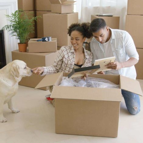 Move with puppies: Stick to your routine, spend more time with your dog