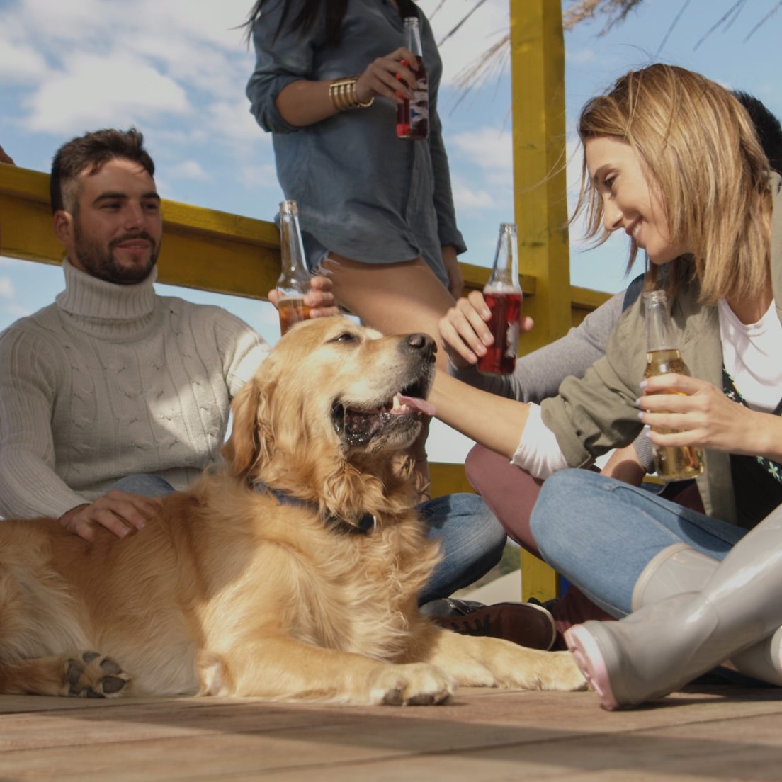 Dog playdates: Use these tips to keep your dog safe and happy