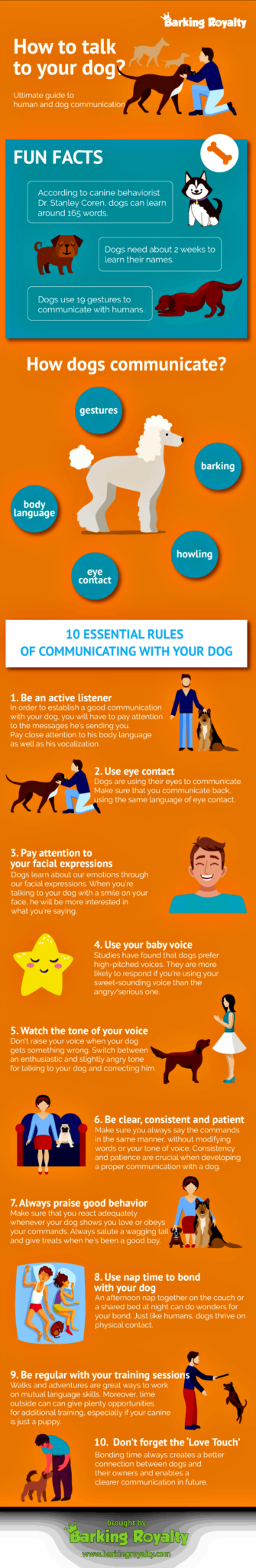 Dog facial expressions: Understand how your dog communicates
