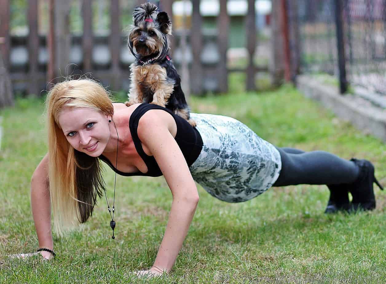 How Can I Exercise My Dog With High Energy How Can I Exercise My Dog With High Energy