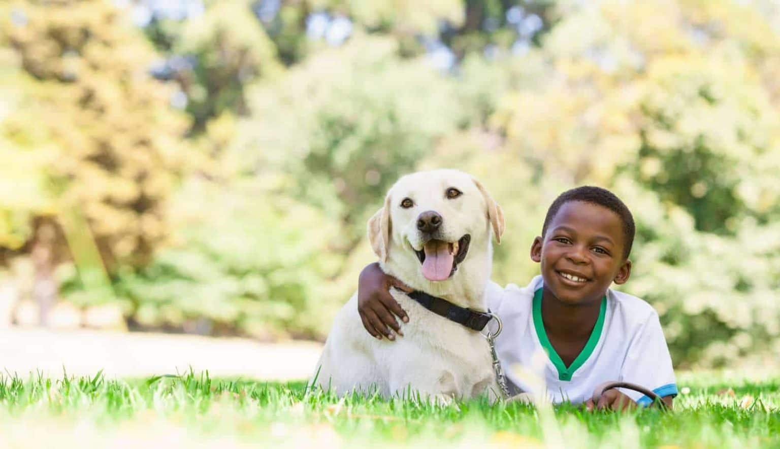 Dogs teach kids responsibility, socialization, love, and friendship