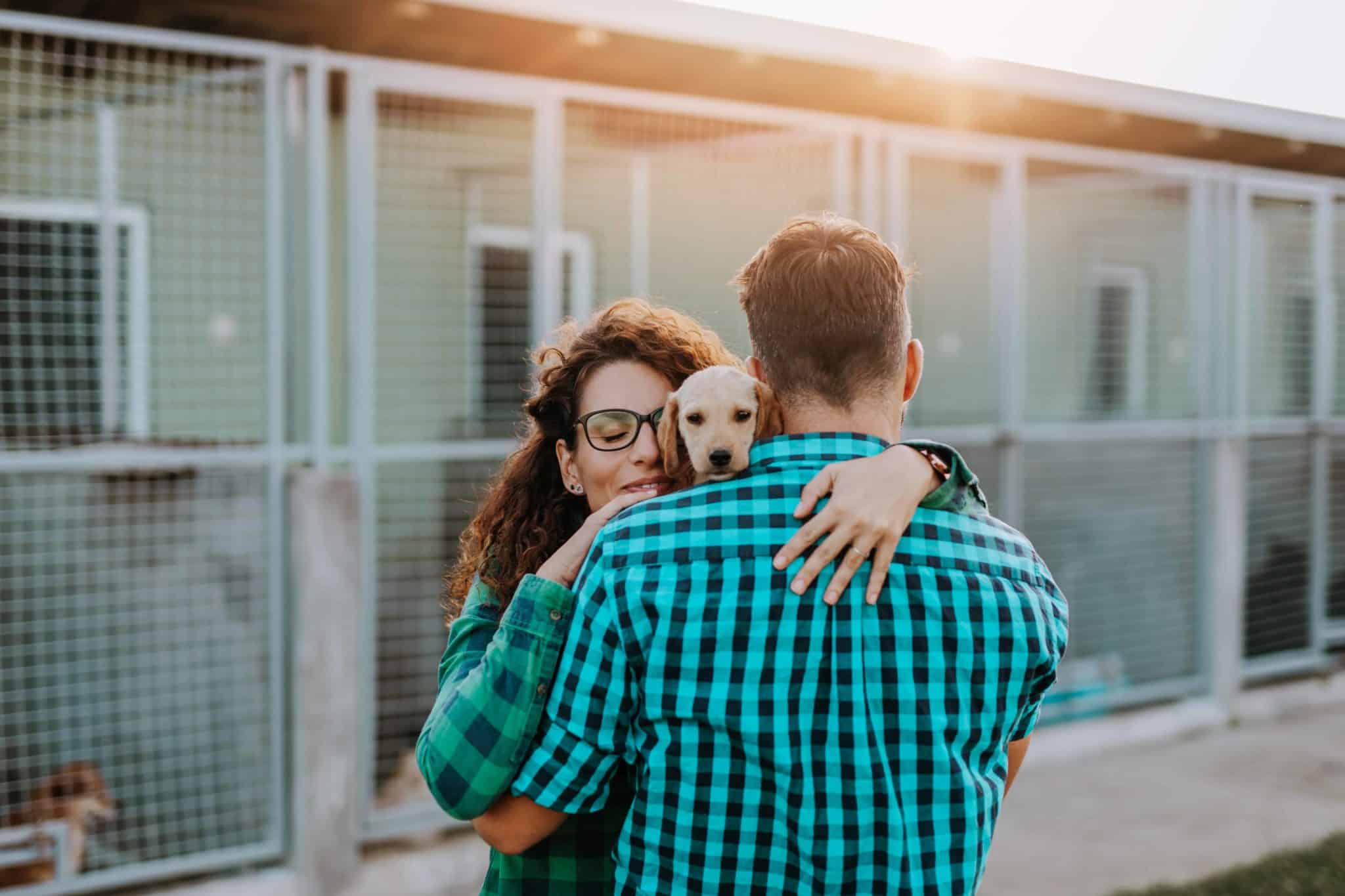 Soulmates find each other volunteering at dog shelters