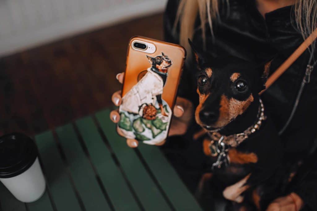 A custom pet phone case lets you bling up your phone and make it unique