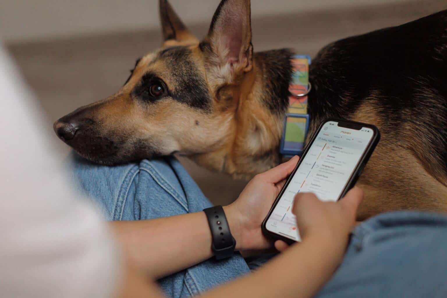 Dog health tracker: Provides early detection and peace of mind