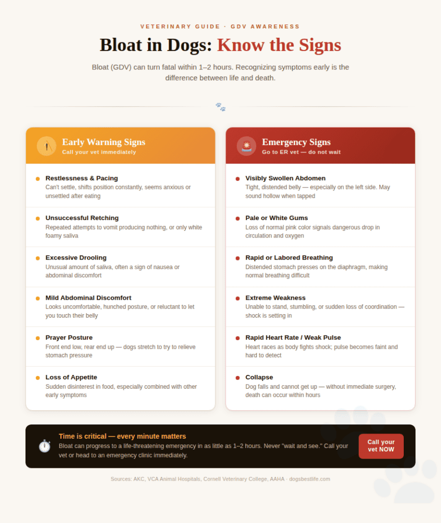 Bloat in dogs: Life-saving guide for dog owners